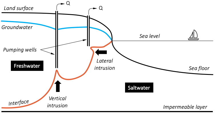 Assessment of saltwater intrusion – INOWAS