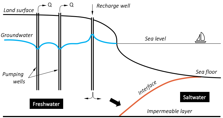 Assessment of saltwater intrusion – INOWAS